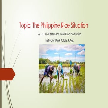 Rice Production | Complete Rice Cultivation | PDF