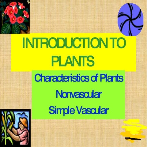 Intro. to plants ppt ch.10