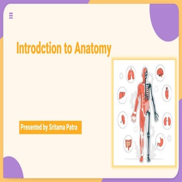 introdction to anatomy. Medical students and nurses. | PPTX