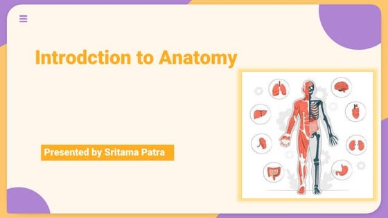 Anatomical Position and Basic Movements | PPT