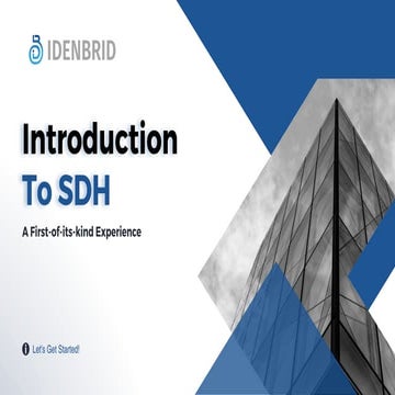 IT Staff Augmentation - IDENBRID INC. | PPT