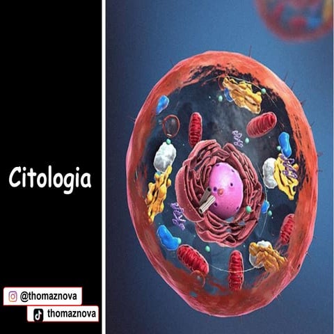 Genetics and Pigmentation of Horse Coat Colors: Comprehensive Overview ...