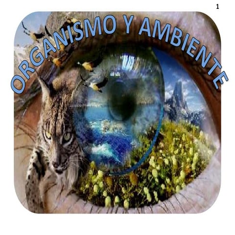 ORGANISMO Y MEDIO AMBIENTE | PPTX