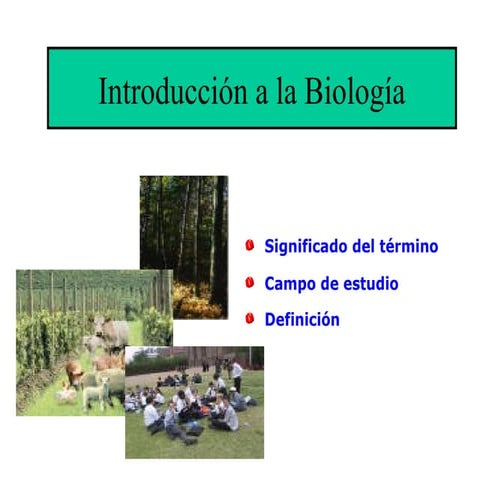 Introducción a los seres vivos. | PPT | Biological Sciences | Science