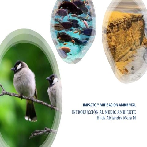 INTRODUCCIÓN AL MEDIO AMBIENTE(1).pptx | Environment | Science