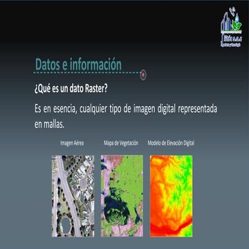 INTRODUCCIÓN A LOS DATOS RASTER - teledeteccion.pdf