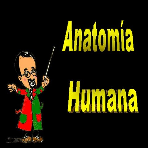 Introduccion A La Anatomia Ppt