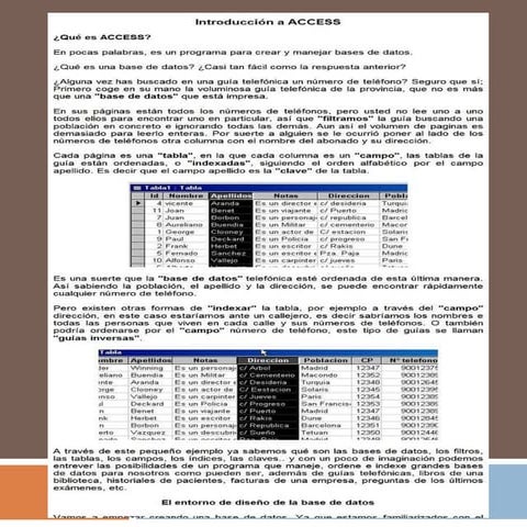 Introduccion a Access | PPS