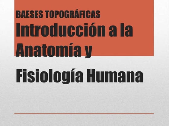 Anatomía Topográfica | PPT