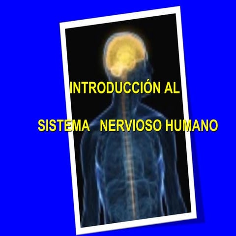 Diapositiva sobre el Sistema Nervioso.pptx