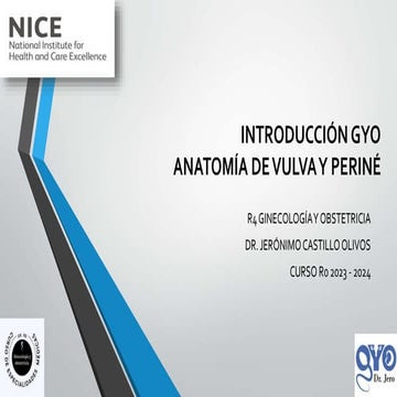 INTRODUCCIÓN GYO - ANATOMIA VUVA Y PERINE.pptx