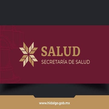 INTRODUCCION AL PROGRAMA HOSPITAL SEGURO | PPTX