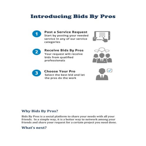 Introducing bids by pros | PDF