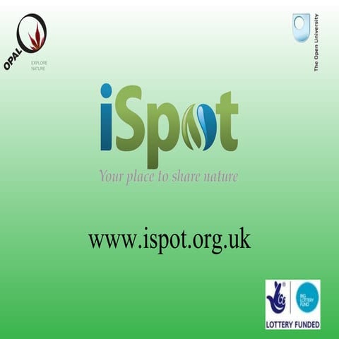 Ispot | PPT