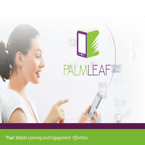 Introducing Palm Leaf | PPTX