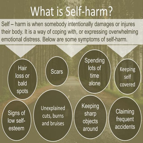 Introducing self harm | PDF