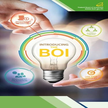 Introducing the BOI | PDF | Business Accounting & Finance | Business