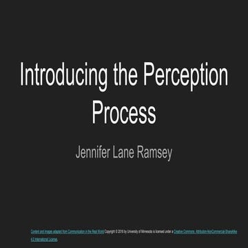Introducing the Perception Process -2024 .pptx