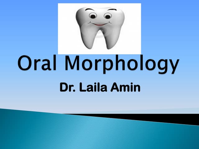 Upper First Molar | PPT