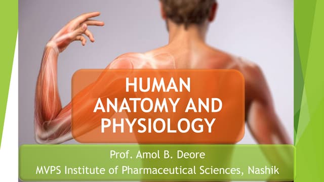 HUMAN ANATOMY & PHYSIOLOGY - BASIC | PDF