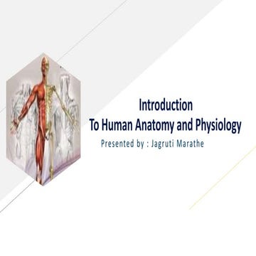 Introduction to human anatomy and Physiology | PPT