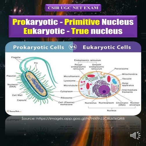 Prokaryotic Vs Eukaryotic / Unicellular Vs Multicellular Organism ...
