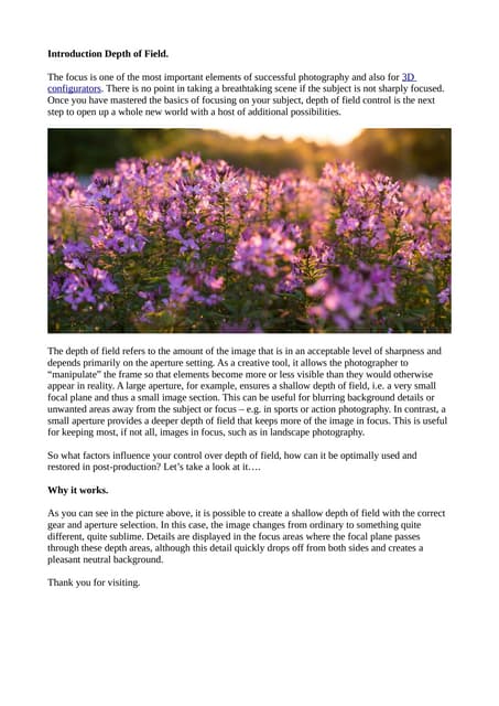 Introduction depth-of-field | PDF Introduction depth-of-field | PDF