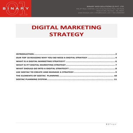 Digital Marketing Strategy - Success Guide | PDF
