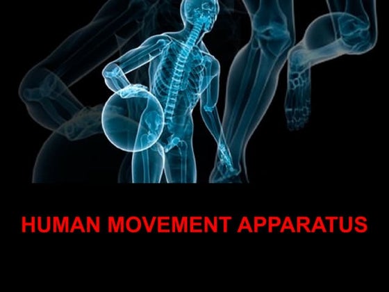 Movement of human body | PPTX | Foot Health | Diseases and Conditions
