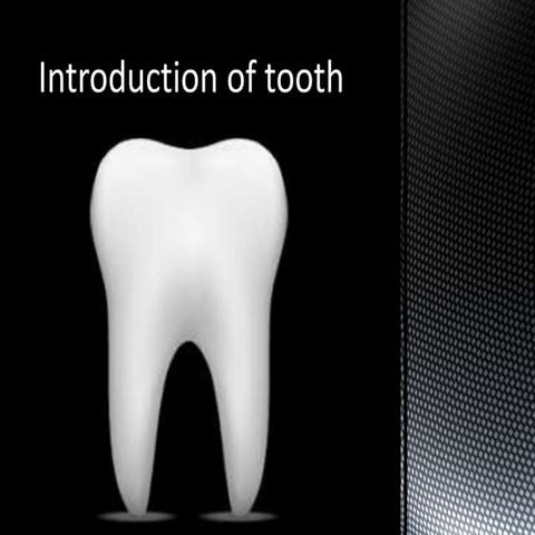 Introduction-of-Tooth.pptx