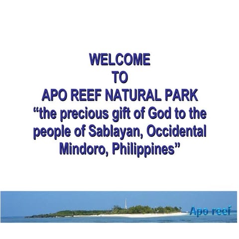 Introduction On Apo Reef | PPT