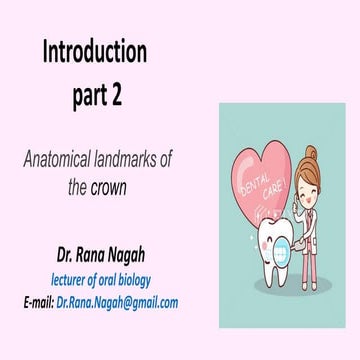 Dental anatomy and morphology lecture | PDF