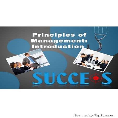Introduction-Principles of Management | PDF