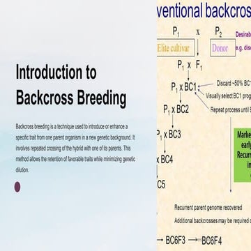 Backcross breeding for transfer of dominant and recessive genes | PPTX