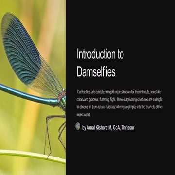 Introduction to the reprodutive biology of damsel fly and its mechanism ...