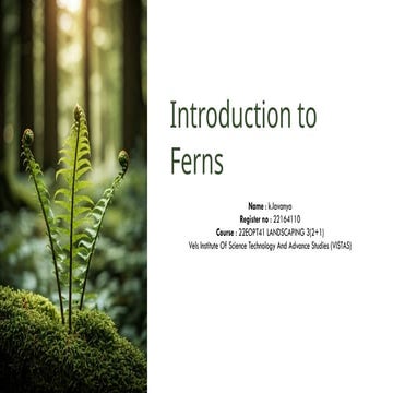 Propagation and role of ferns in landscaping .pptx