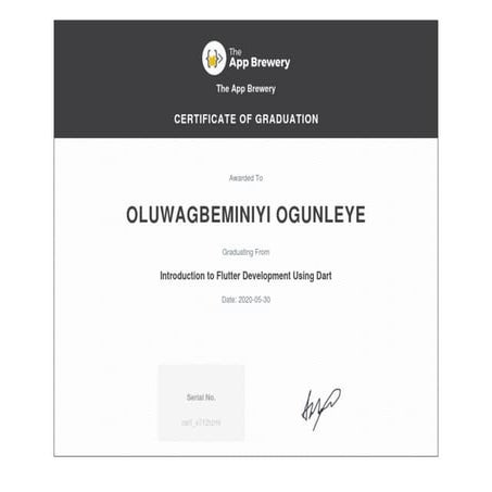 Introduction To Flutter Development Certificate Ppt