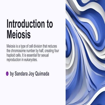 Introduction to Meiosis - PowerPoint Presentation | PPT