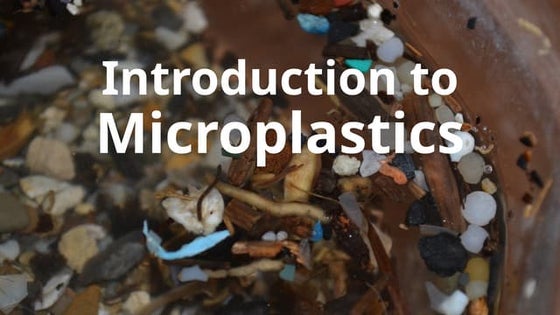 Microplastic Pollution (1).pptx3232323233323 | PPT