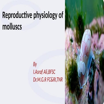 Introduction-to-Mollusk-Reproductive-Physiology.pptx