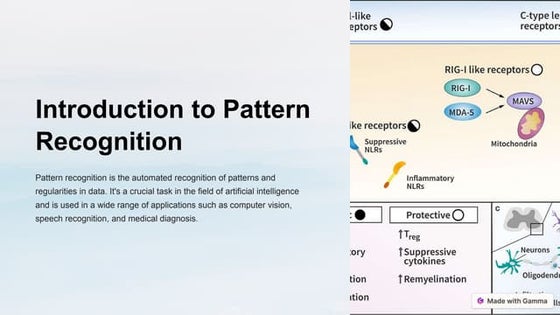 Understanding The Pattern Of Recognition | PDF