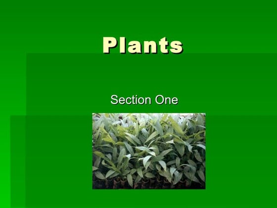 plants | PPT