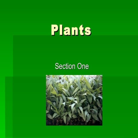 Introduction To Plants | PPT