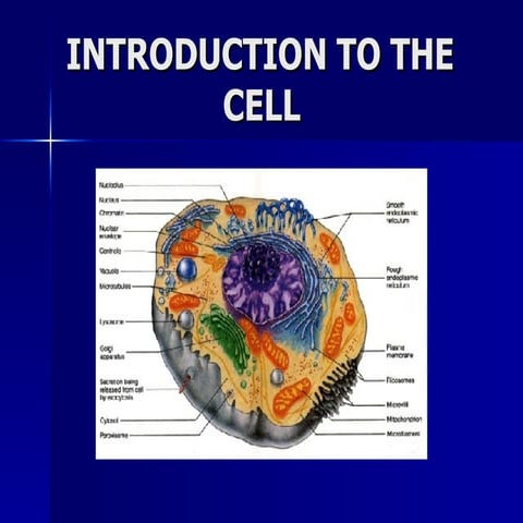 Introduction To The Cell | PPT