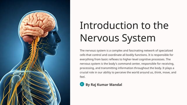 Nervous System Parts and Function | PPTX