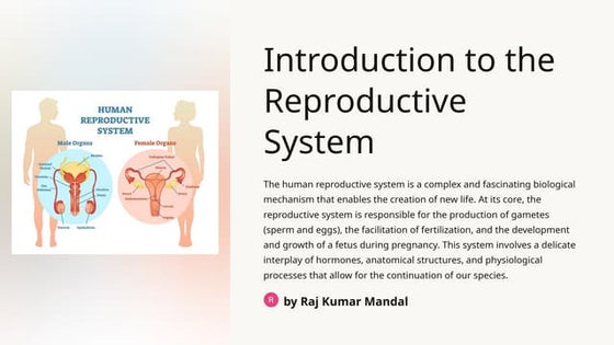 Grade 10 Quarter 3: The Reproductive System | PPT