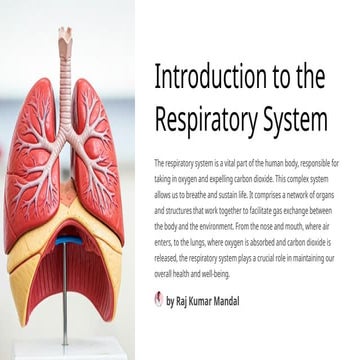 Introduction to the Respiratory System on Slideshare by Raj Kumar ...