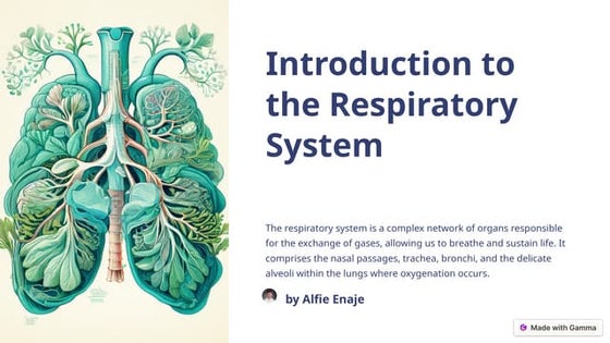 The Respiratory System By R.Nishanth B.sc DT | PPT
