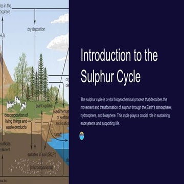 Introduction-to-the-Sulphur-Cycle-1.pptx