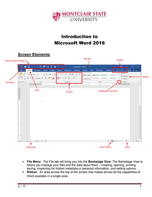 MS Word Interface.pptx